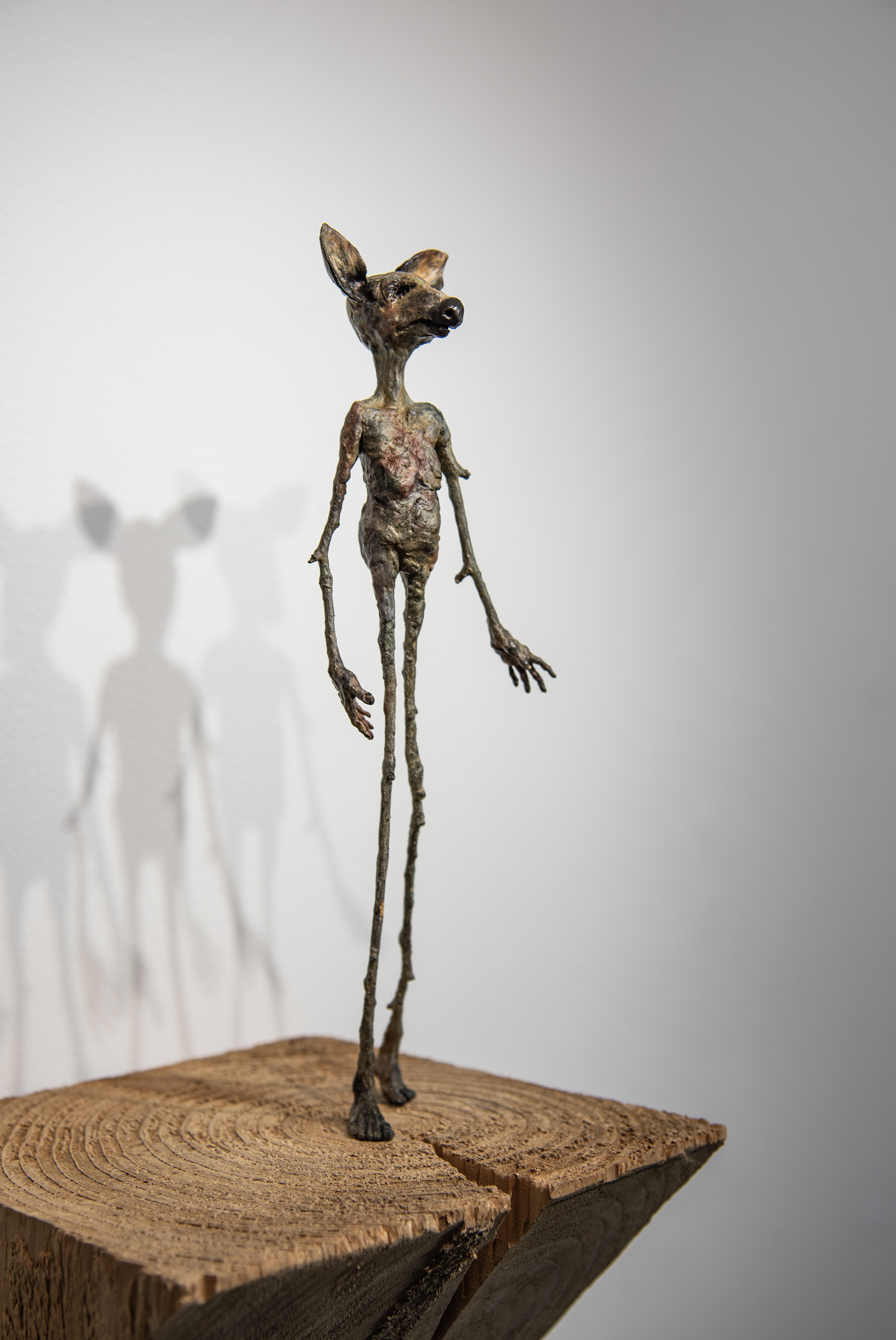 Hope in the Eyes of a Fawn - Holly Wilson